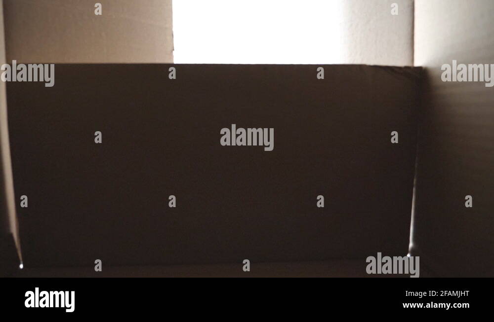 Little boy looks in box with emotions and feelings at face. Child ...