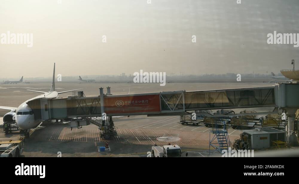 Cargo plane loading Stock Videos & Footage - HD and 4K Video Clips - Alamy