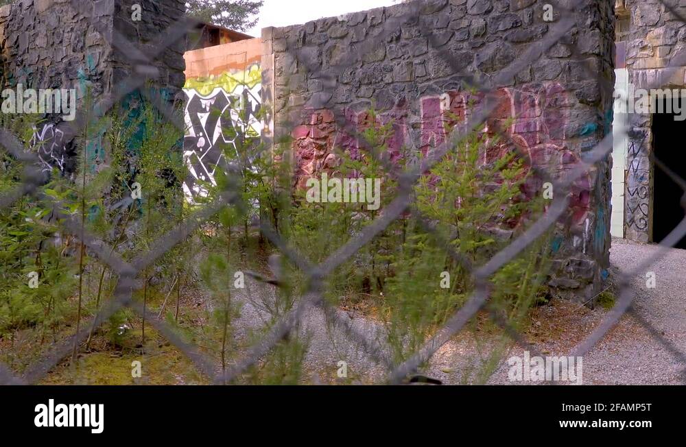 Graffiti yard Stock Videos & Footage - HD and 4K Video Clips - Alamy