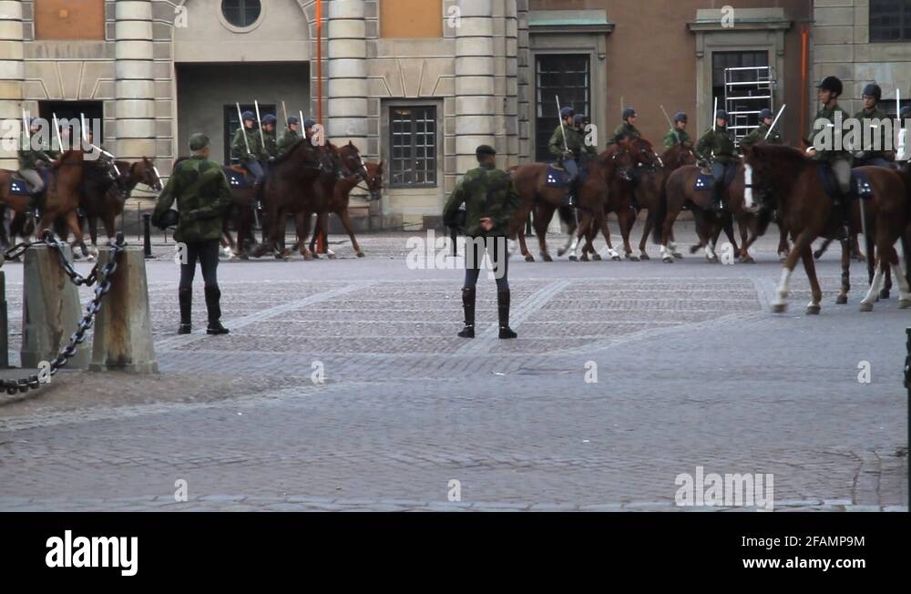 Royal palace guards Stock Videos & Footage - HD and 4K Video Clips - Alamy