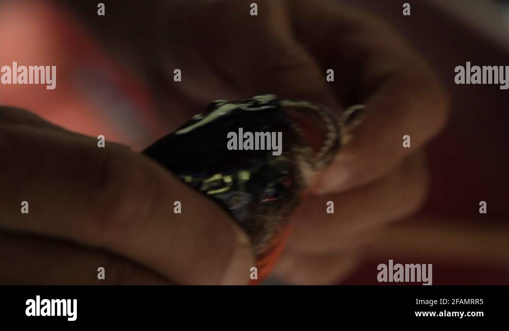 Piranha showing teeth Stock Videos & Footage - HD and 4K Video Clips ...