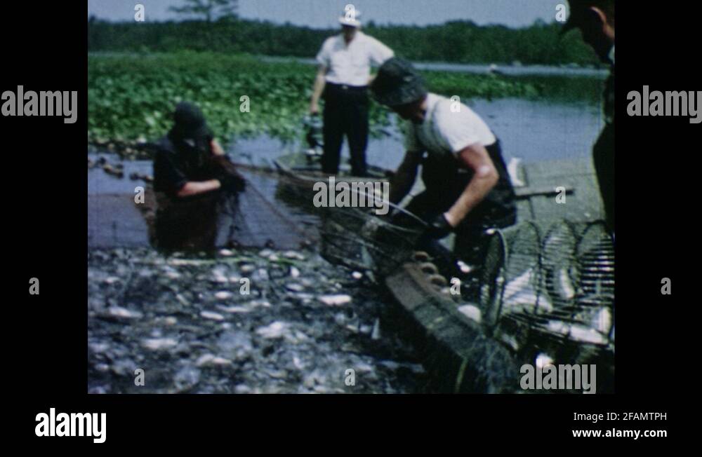 Nets for fish Stock Videos & Footage - HD and 4K Video Clips - Alamy