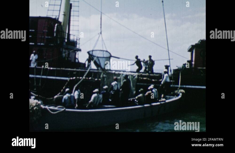 Hull fish dock Stock Videos & Footage - HD and 4K Video Clips - Alamy