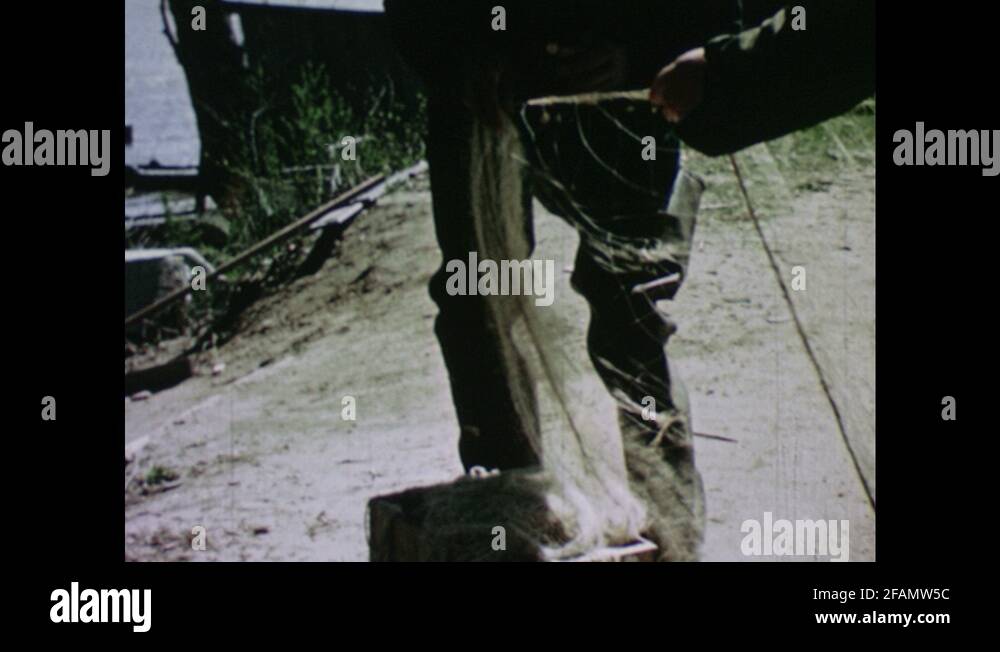 Push netting Stock Videos & Footage - HD and 4K Video Clips - Alamy