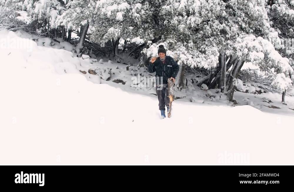 Ax adventure Stock Videos & Footage - HD and 4K Video Clips - Alamy