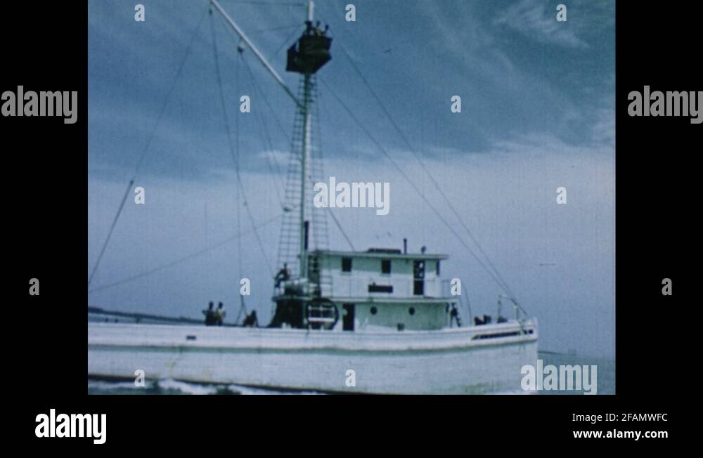 Menhaden fish Stock Videos & Footage - HD and 4K Video Clips - Alamy