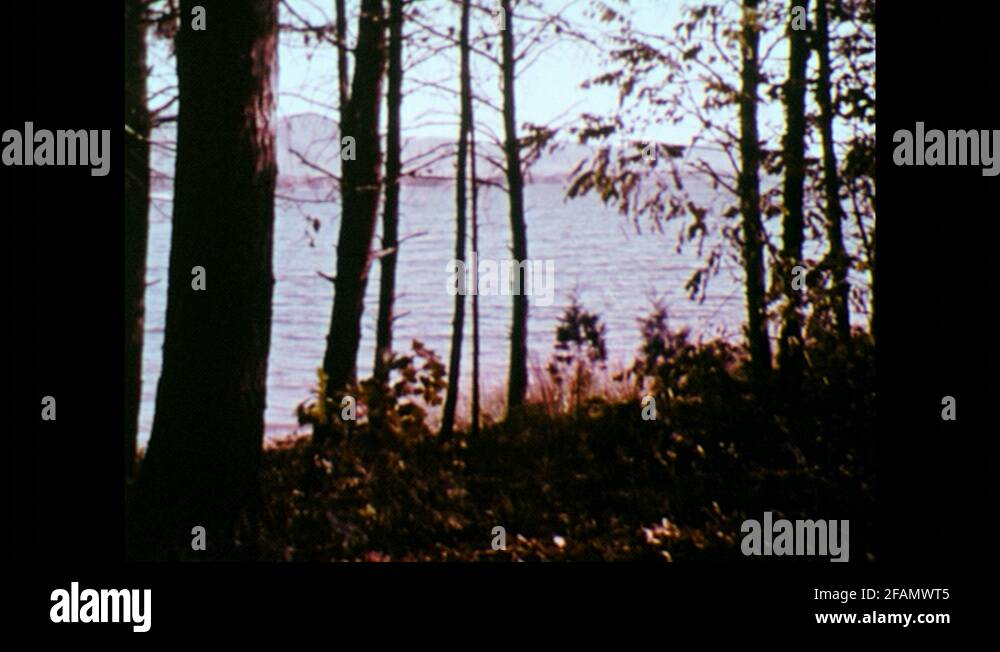 1970s: Trees on lake shoreline. Bushes blowing in wind. Designs for ...