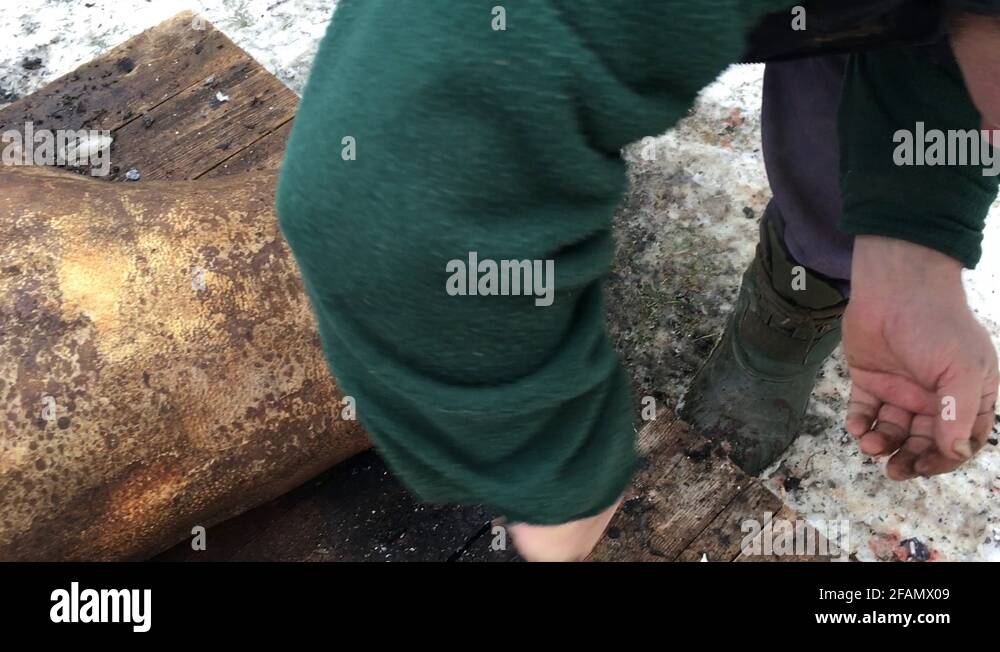 Ear cut off Stock Videos & Footage - HD and 4K Video Clips - Alamy