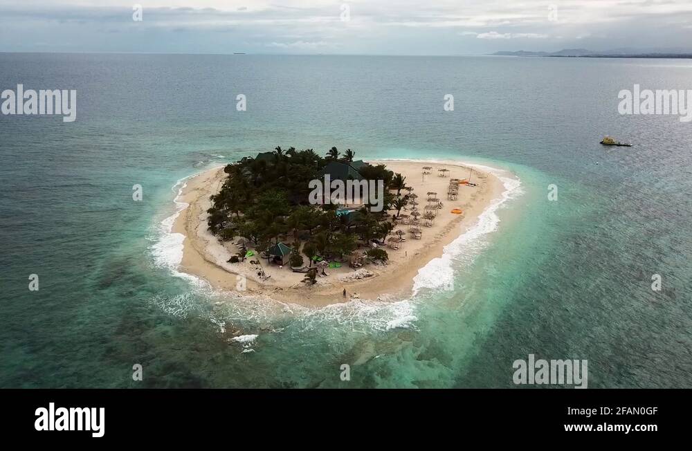 Fiji sea life Stock Videos & Footage - HD and 4K Video Clips - Alamy