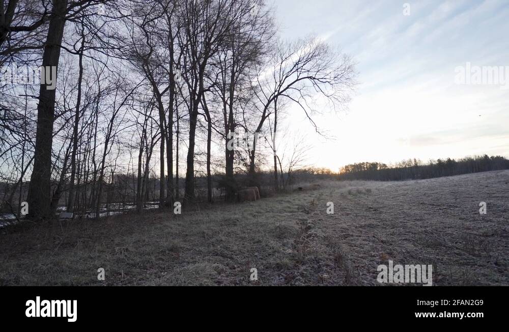 Frost edge Stock Videos & Footage - HD and 4K Video Clips - Alamy