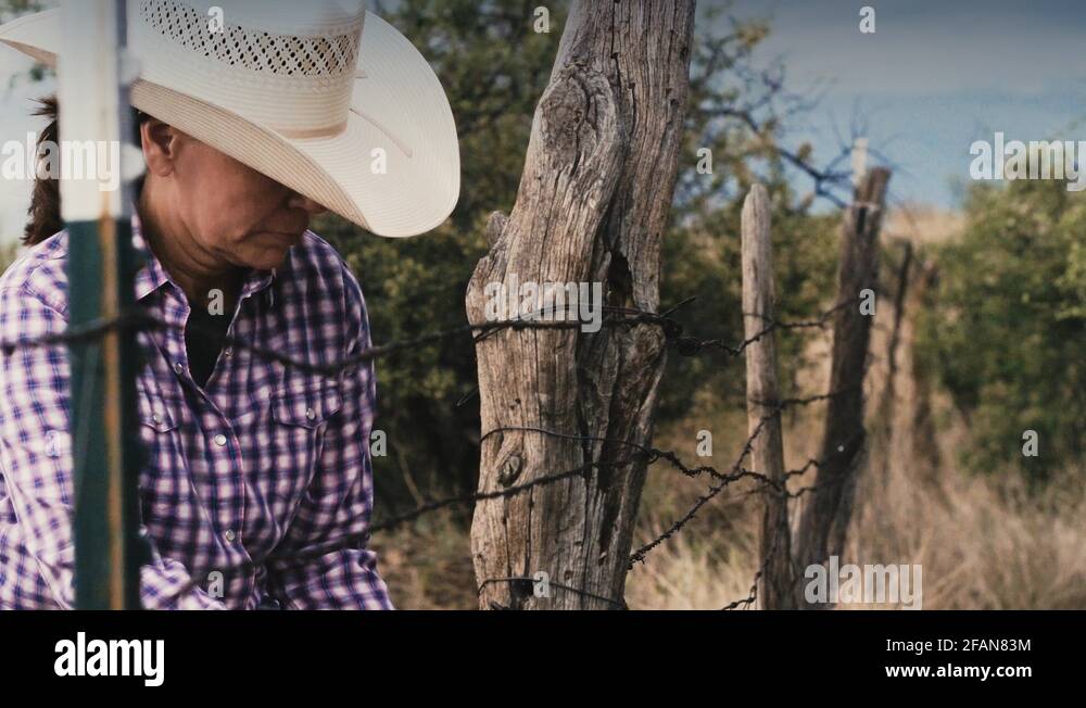 Fixing cattle fence Stock Videos & Footage - HD and 4K Video Clips - Alamy