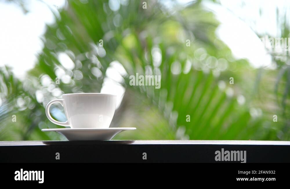 Palm cup Stock Videos & Footage - HD and 4K Video Clips - Alamy