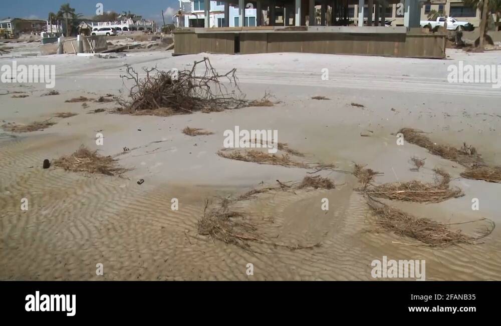 Dry mexico plants Stock Videos & Footage - HD and 4K Video Clips - Alamy