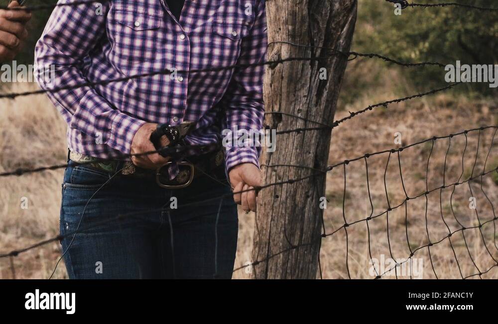 Low wire fence Stock Videos & Footage - HD and 4K Video Clips - Alamy