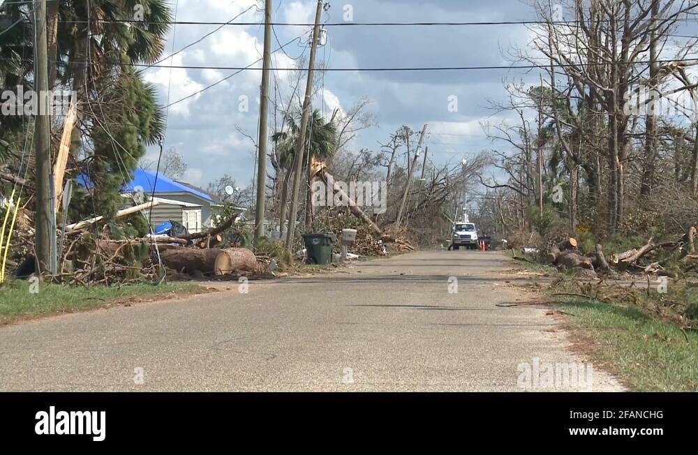 Florida hurricane damaged trees Stock Videos & Footage - HD and 4K ...