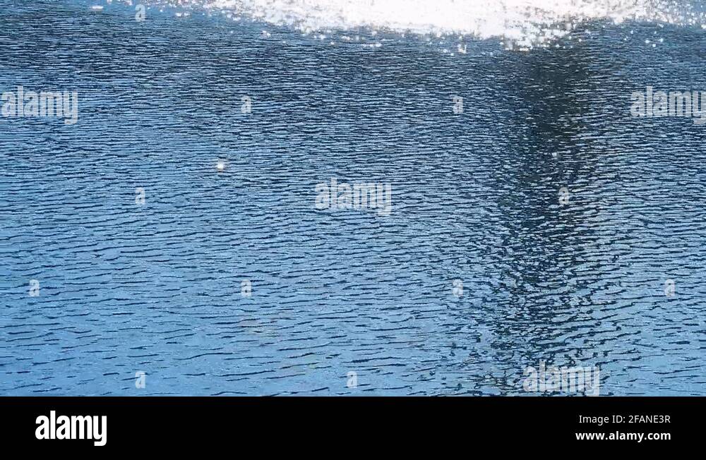 Ocean orbs pattern Stock Videos & Footage - HD and 4K Video Clips - Alamy