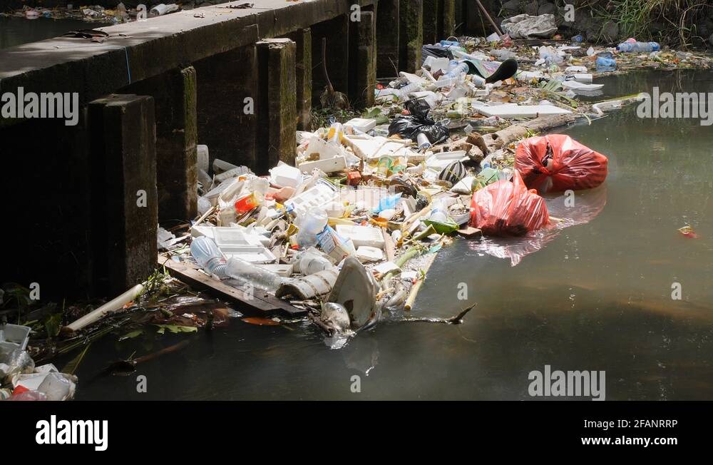 Plastic Waste Rubbish Floating in Forest River Water. Huge Dump in ...