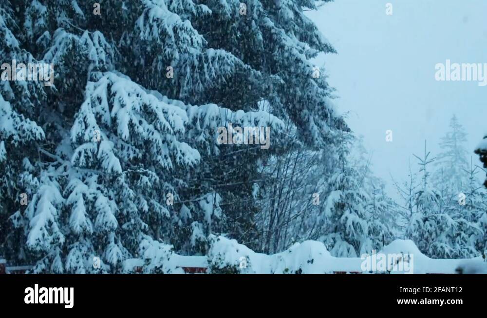 Whiteout Stock Videos & Footage - HD and 4K Video Clips - Alamy