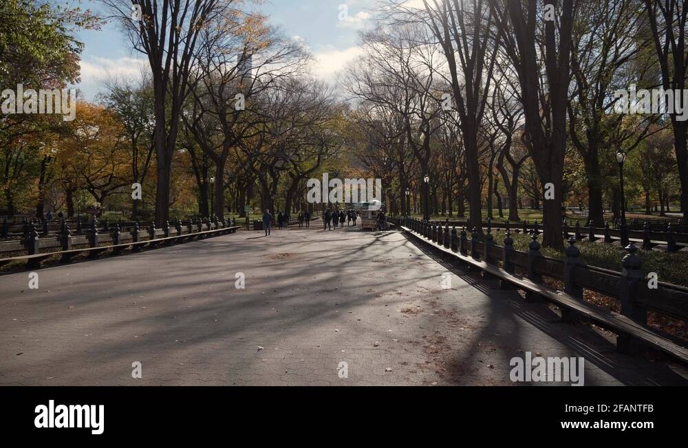 Central park path fall Stock Videos & Footage - HD and 4K Video Clips ...