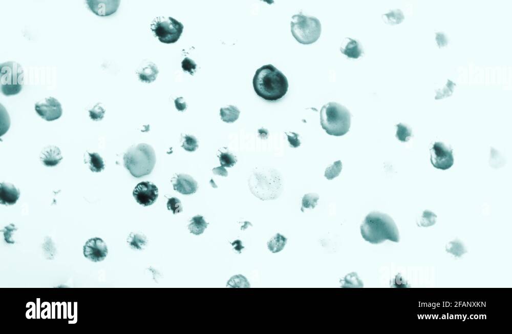 X ray effect Stock Videos & Footage - HD and 4K Video Clips - Alamy