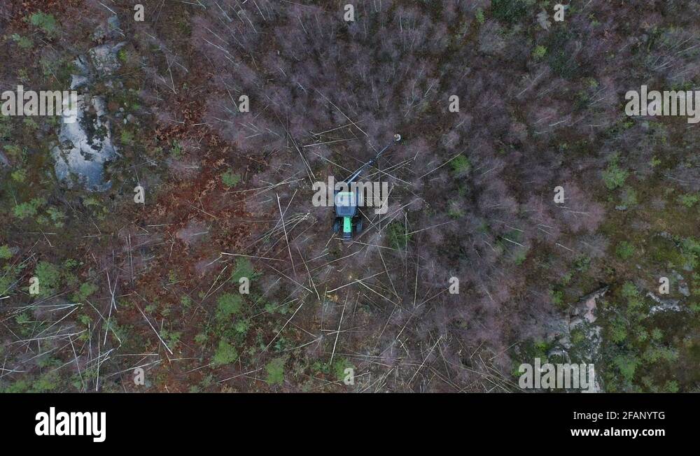 Tractor cutting trees Stock Videos & Footage - HD and 4K Video Clips ...