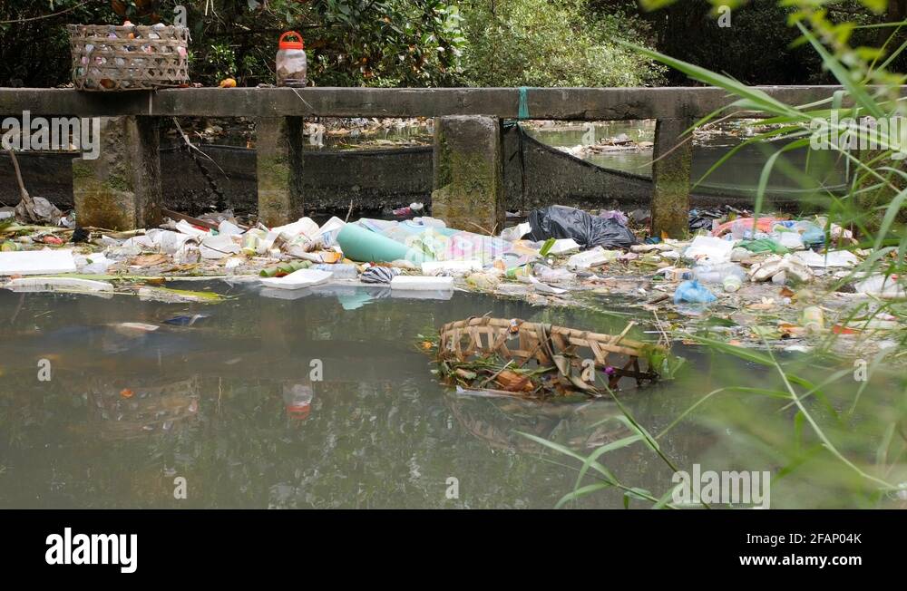 Plastic Waste Rubbish Floating in Forest River Water. Huge Dump in ...