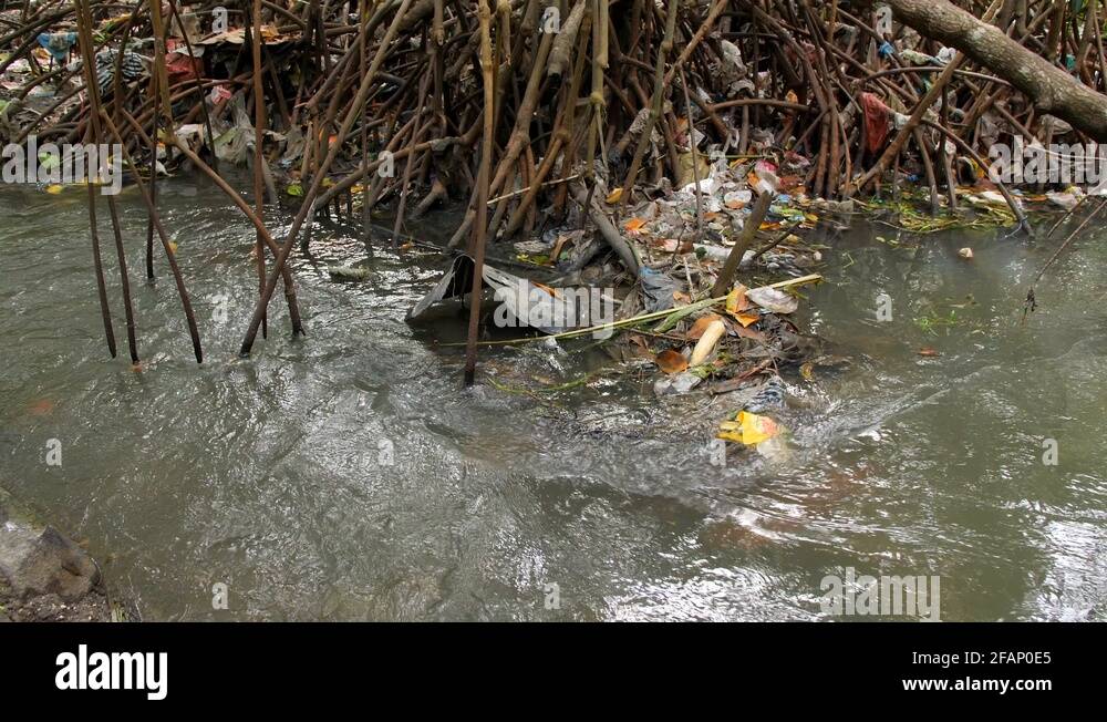 Plastic Waste Rubbish Floating in Lake Water. Environmental Pollution ...