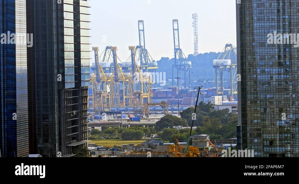 Cranes of international container terminal in port of Singapore, Asia ...