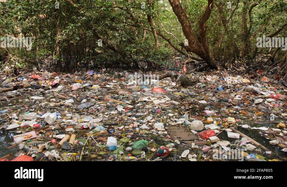 Huge Dump in Tropical Mangrove Tree Forest. Plastic Waste Rubbish Floating in Stock Video ...