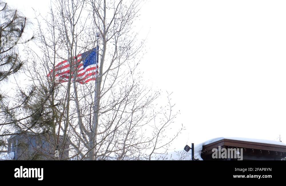 Flag with trees Stock Videos & Footage - HD and 4K Video Clips - Alamy