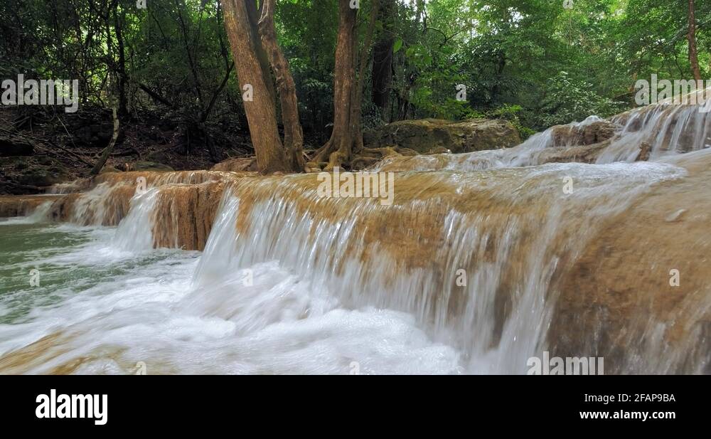 Fresh water stream flows among jungle trees of Thailand national park ...