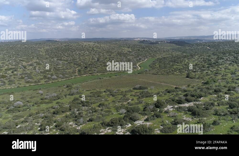 Bank mediterranean Stock Videos & Footage - HD and 4K Video Clips - Alamy
