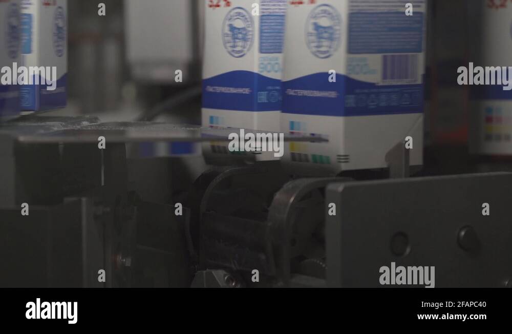 Dairy products, paper bags of milk are transported on a conveyor ...