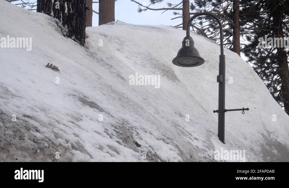 Buried tree Stock Videos & Footage - HD and 4K Video Clips - Alamy