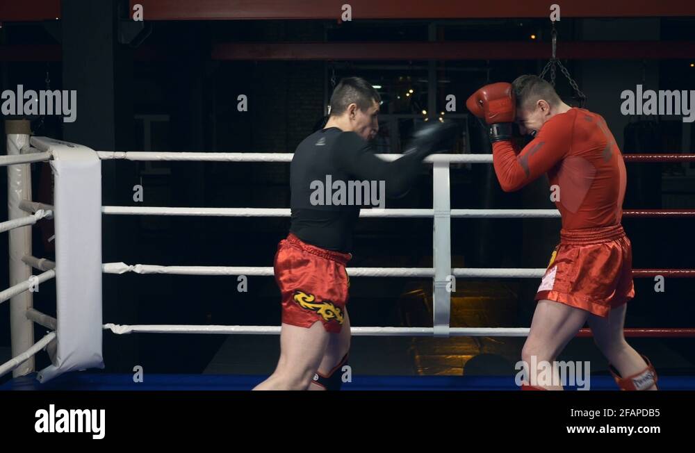 Two Muay Thai Boxers Sparring Fighting In Boxing Ring. Training Kicks ...