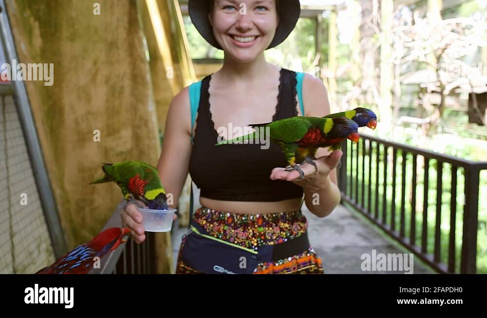Smiling bird Stock Videos & Footage - HD and 4K Video Clips - Alamy