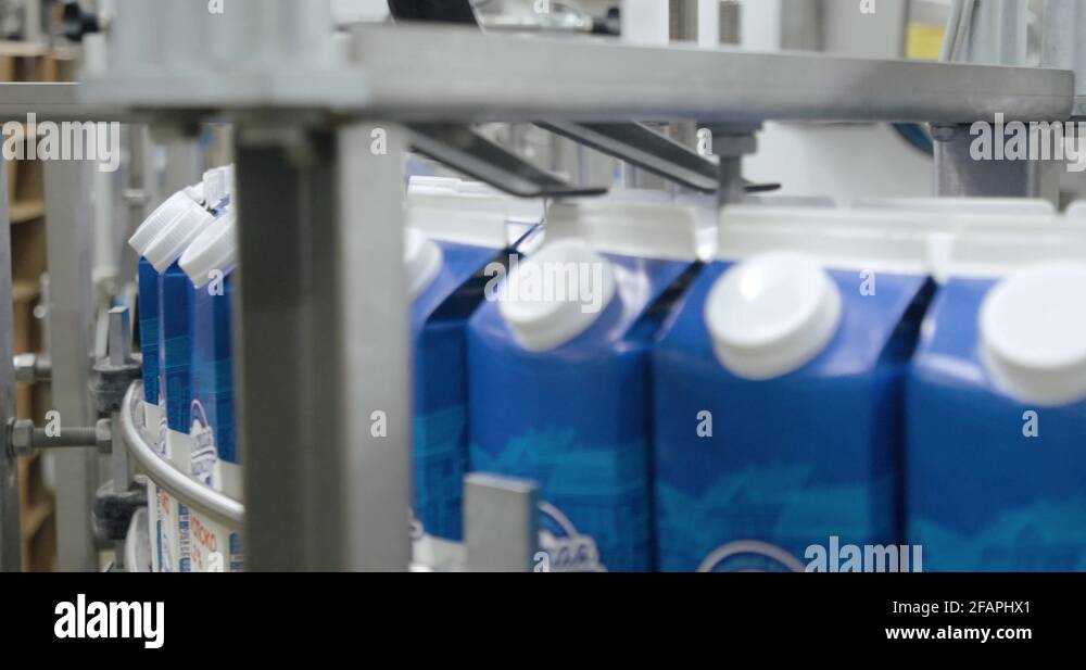 Dairy products, paper bags of milk are transported on a conveyor Stock ...