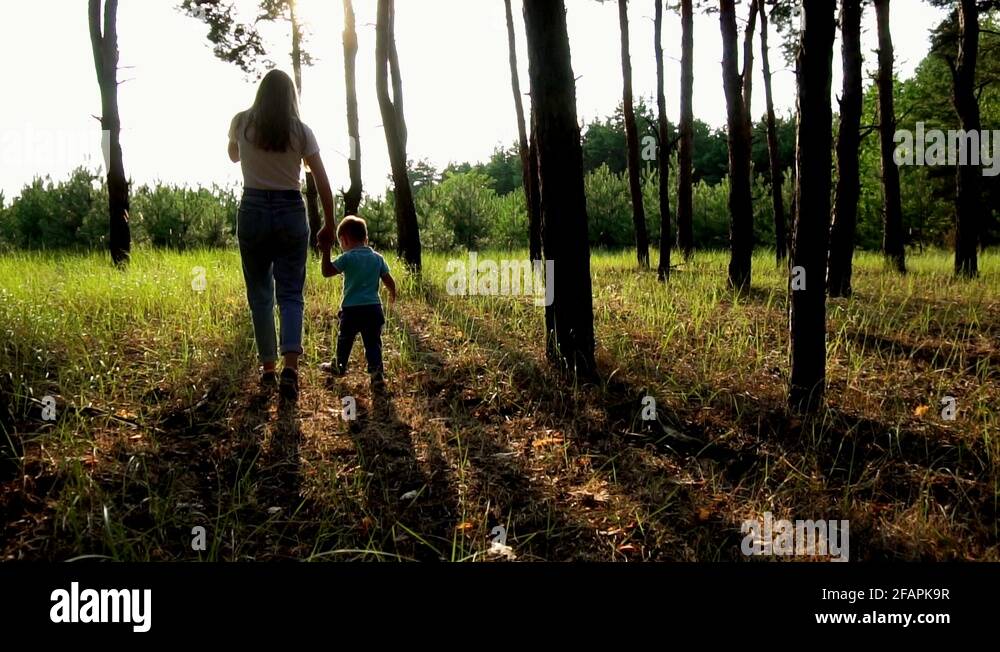 Brother sister holding hand walking Stock Videos & Footage - HD and 4K ...