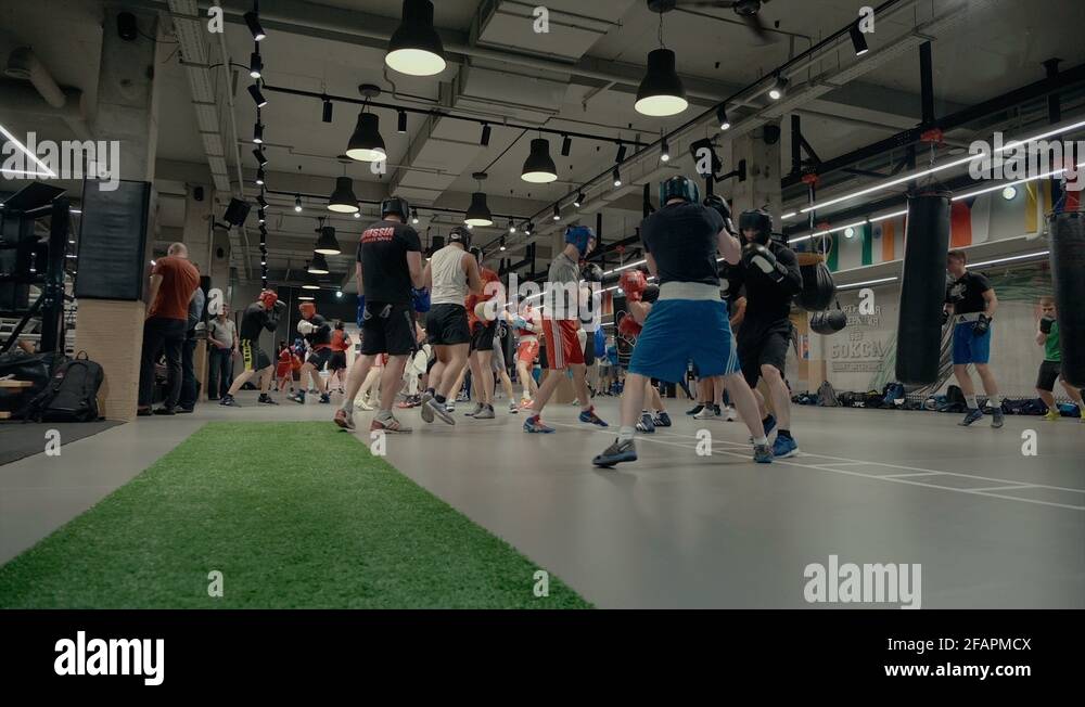 Adult classroom training Stock Videos & Footage - HD and 4K Video Clips ...