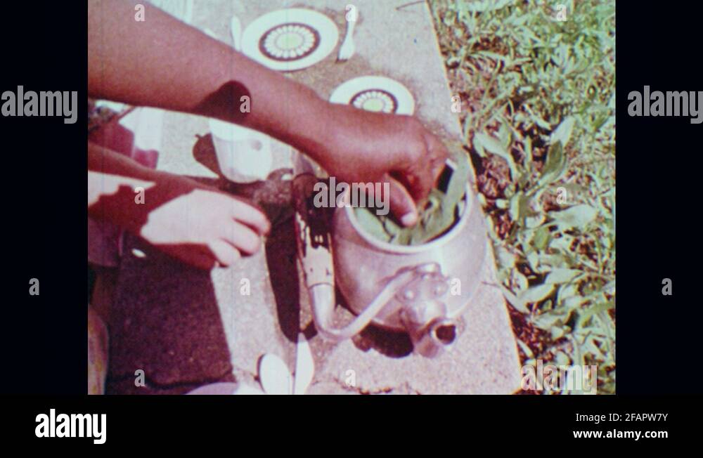 Children pot plants Stock Videos & Footage - HD and 4K Video Clips - Alamy