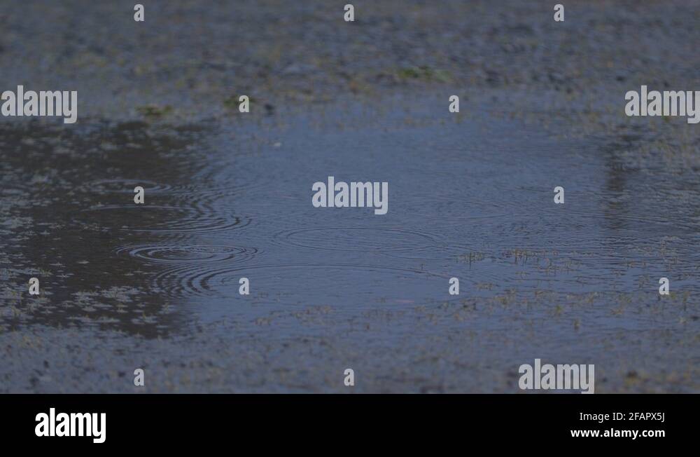 Ripples in a puddle Stock Videos & Footage - HD and 4K Video Clips - Alamy