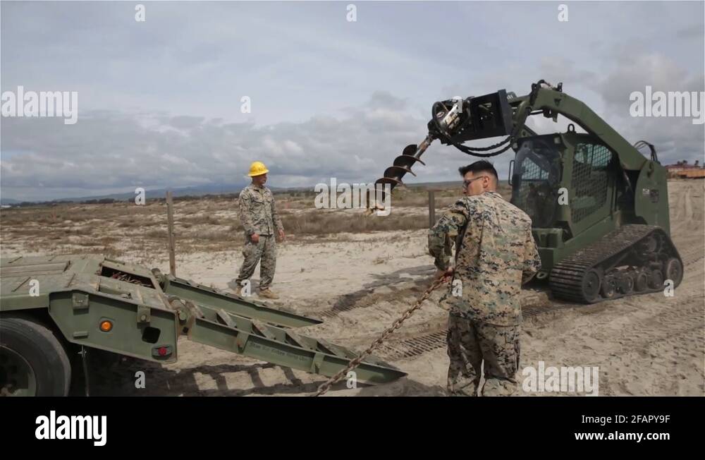 U s plant species Stock Videos & Footage - HD and 4K Video Clips - Alamy