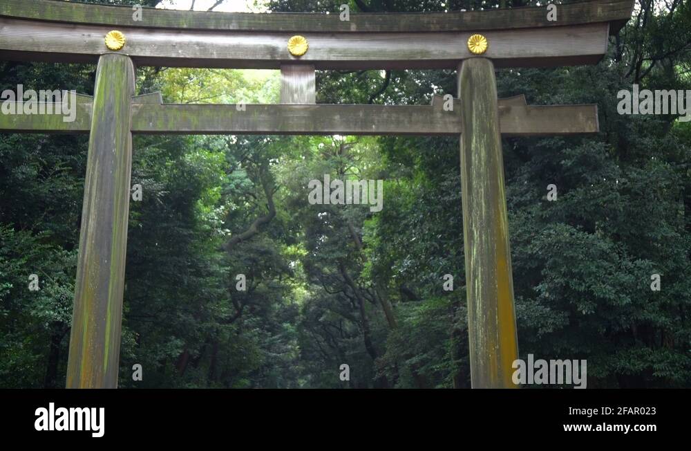 Japanese traditional portal Stock Videos & Footage - HD and 4K Video ...