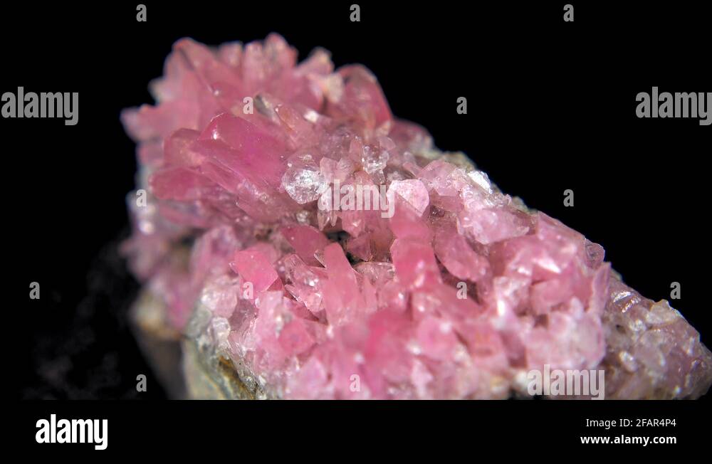 Seamlessly rotating a pink mineral (Rose Quartz) in front of black ...