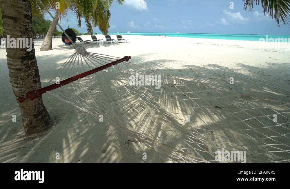 Hammock between two palm trees at tropical beach Stock Videos & Footage - HD and 4K Video Clips ...
