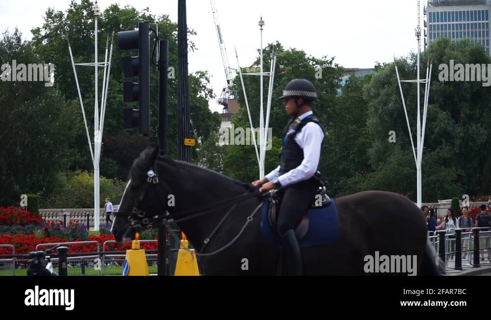 British cavalry marching with traditional outfits Stock Video Footage ...