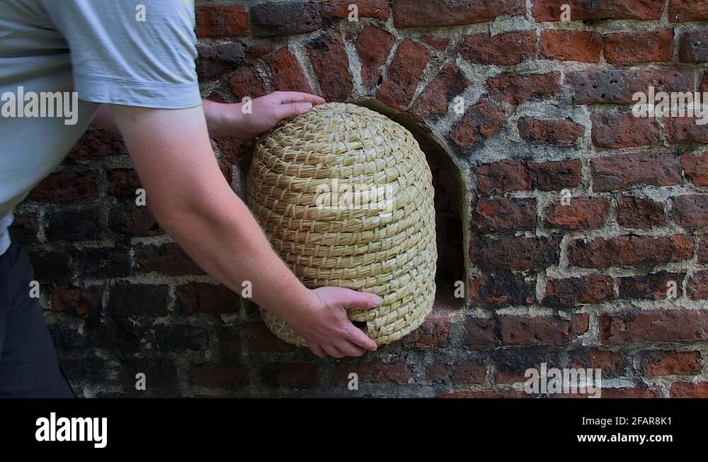 Tudor wall Stock Videos & Footage - HD and 4K Video Clips - Alamy