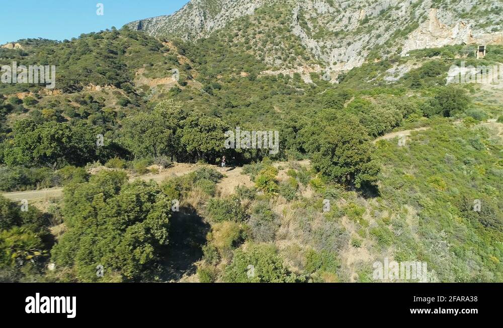 Female long distance runner Stock Videos & Footage - HD and 4K Video ...