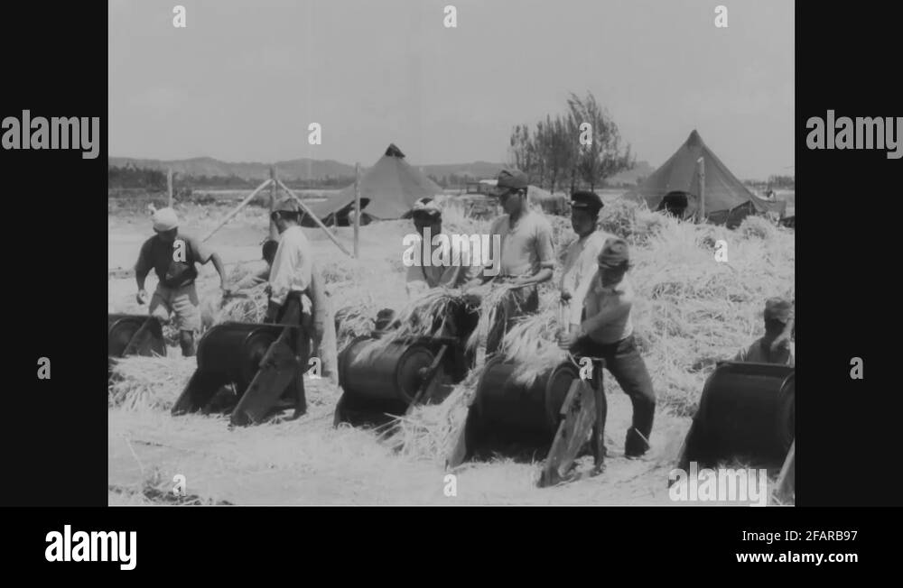 Japanese civilians threshing rice crops using machinery - 1945 Stock ...