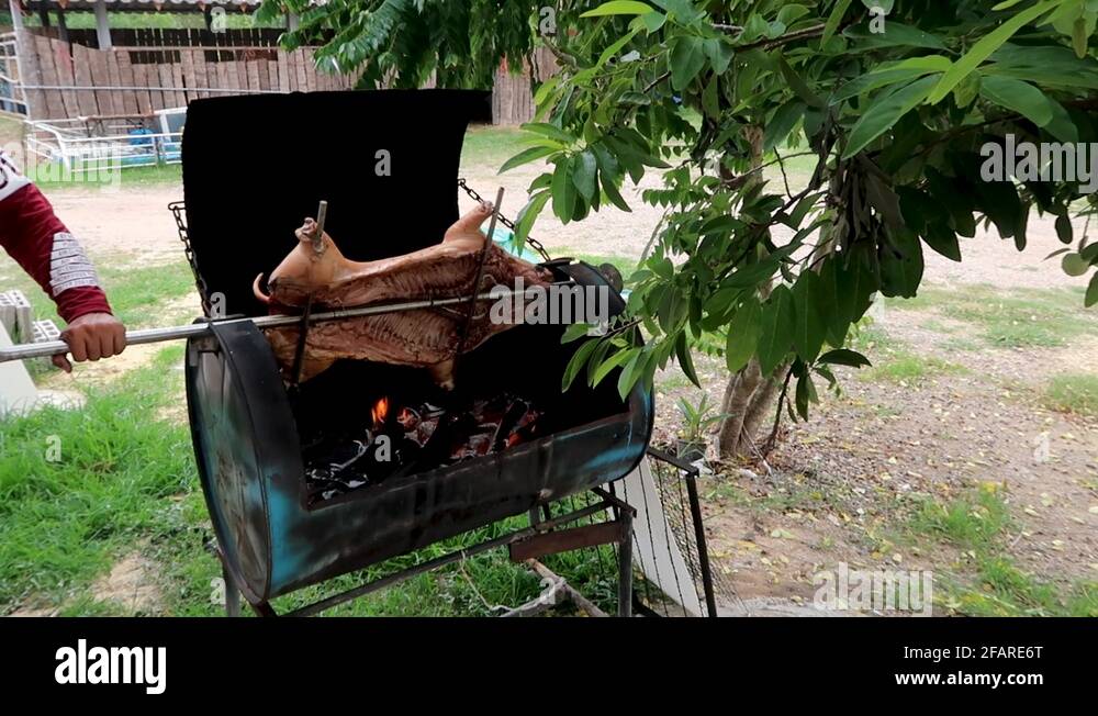 Traditional hog roast Stock Videos & Footage - HD and 4K Video Clips ...